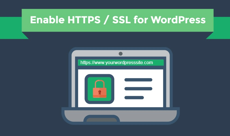 How to Enable HTTPS for WordPress? Force SSL to HTTPS