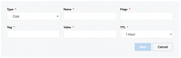 CAA DNS Record: Everything You Need to Know About it.