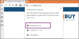 How to View SSL Certificate Details in Chrome, Firefox, IE, Microsoft Edge