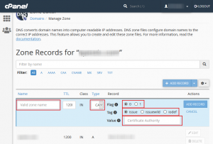 CAA DNS Record: Everything You Need to Know About it.