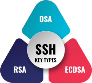 What is an SSH Key? Its Features, Types, Uses and Importance