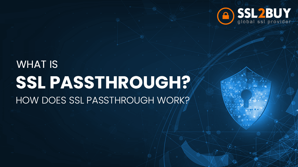 What Is SSL Passthrough? How Does SSL Passthrough Work?