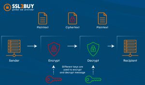How Can I Find the Private Key for My SSL Certificate?
