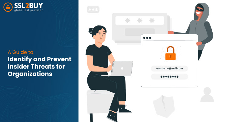 A Guide to Insider Threat Prevention for Organizations