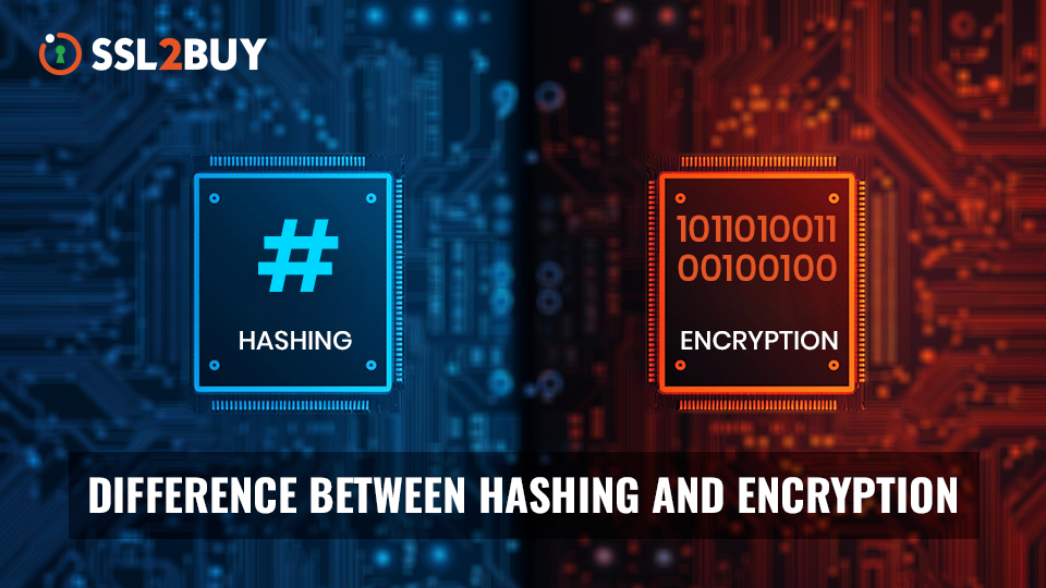Encryption vs Hashing: Key Differences in Data Security